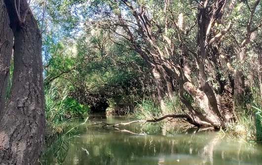 Rutas por “El río Gigüela y su pasado molinero” - Ayuntamiento de la ...